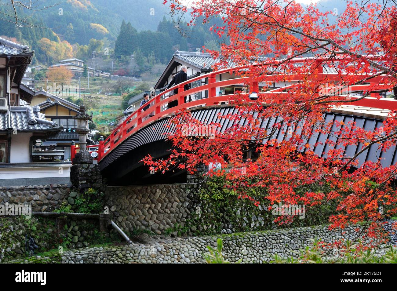 Maple of Nara Yamatoji, crimson foliage Muroji temple precinct Stock ...