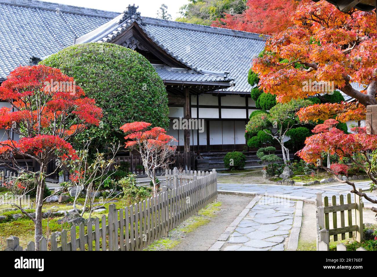 Maple of Nara Yamatoji, crimson foliage Muroji temple precinct Stock ...