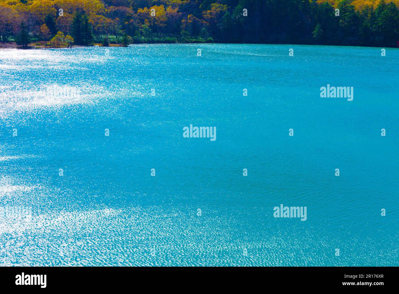 Shiga Kogen Onumaike pond Stock Photo - Alamy
