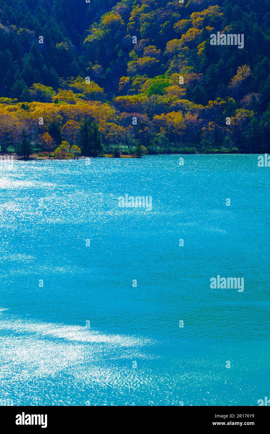 Shiga Kogen Onumaike pond Stock Photo - Alamy