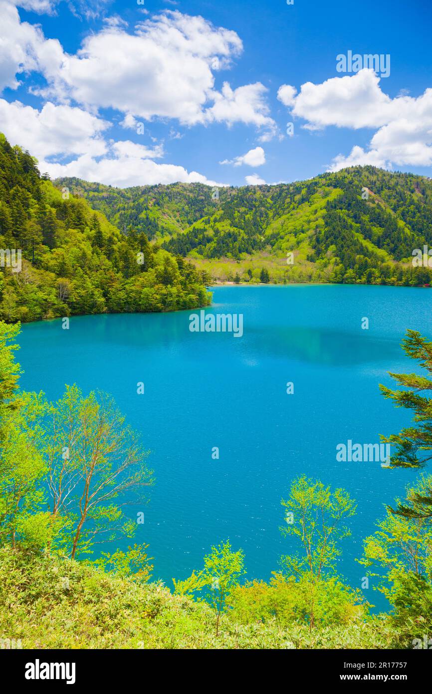 Onuma gun hi-res stock photography and images - Alamy