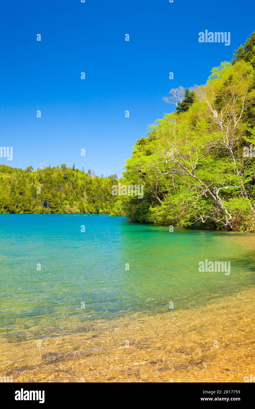 Onuma gun hi-res stock photography and images - Alamy