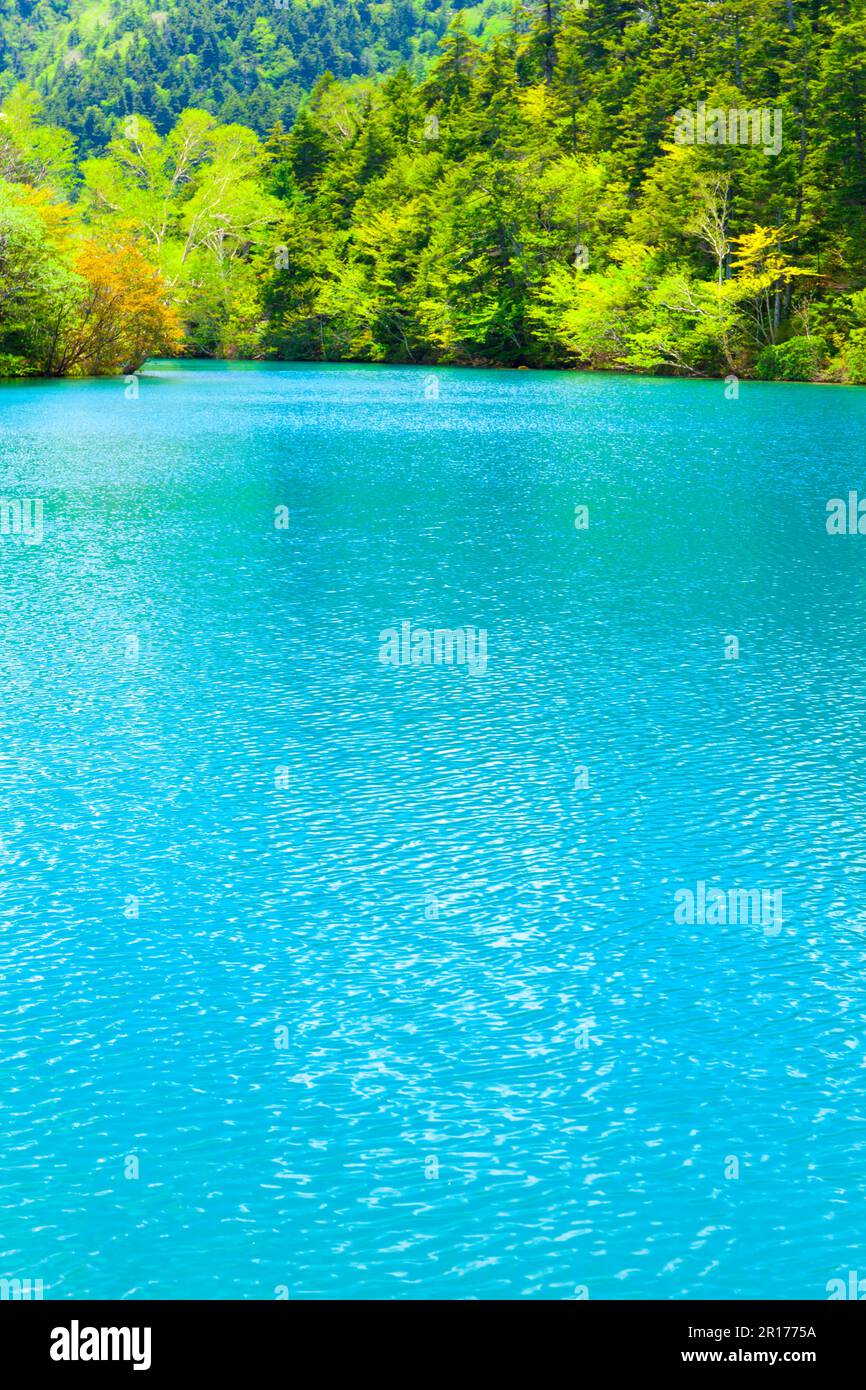 Onuma gun hi-res stock photography and images - Alamy