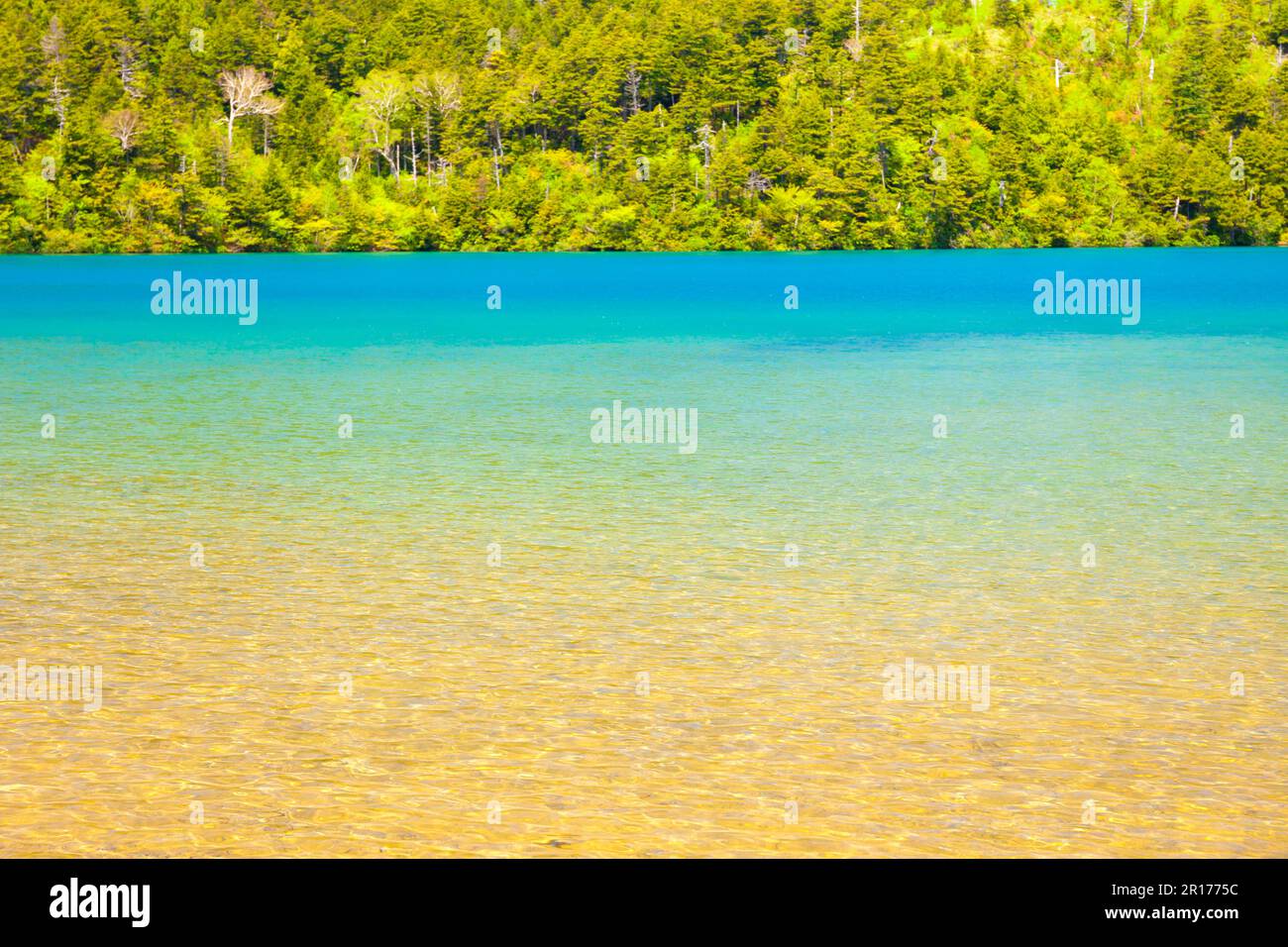 Onuma gun hi-res stock photography and images - Alamy