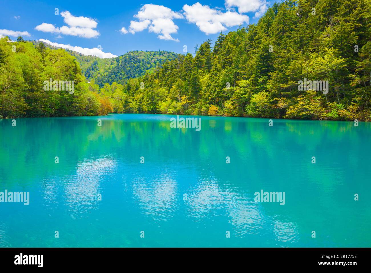 Onuma gun hi-res stock photography and images - Alamy