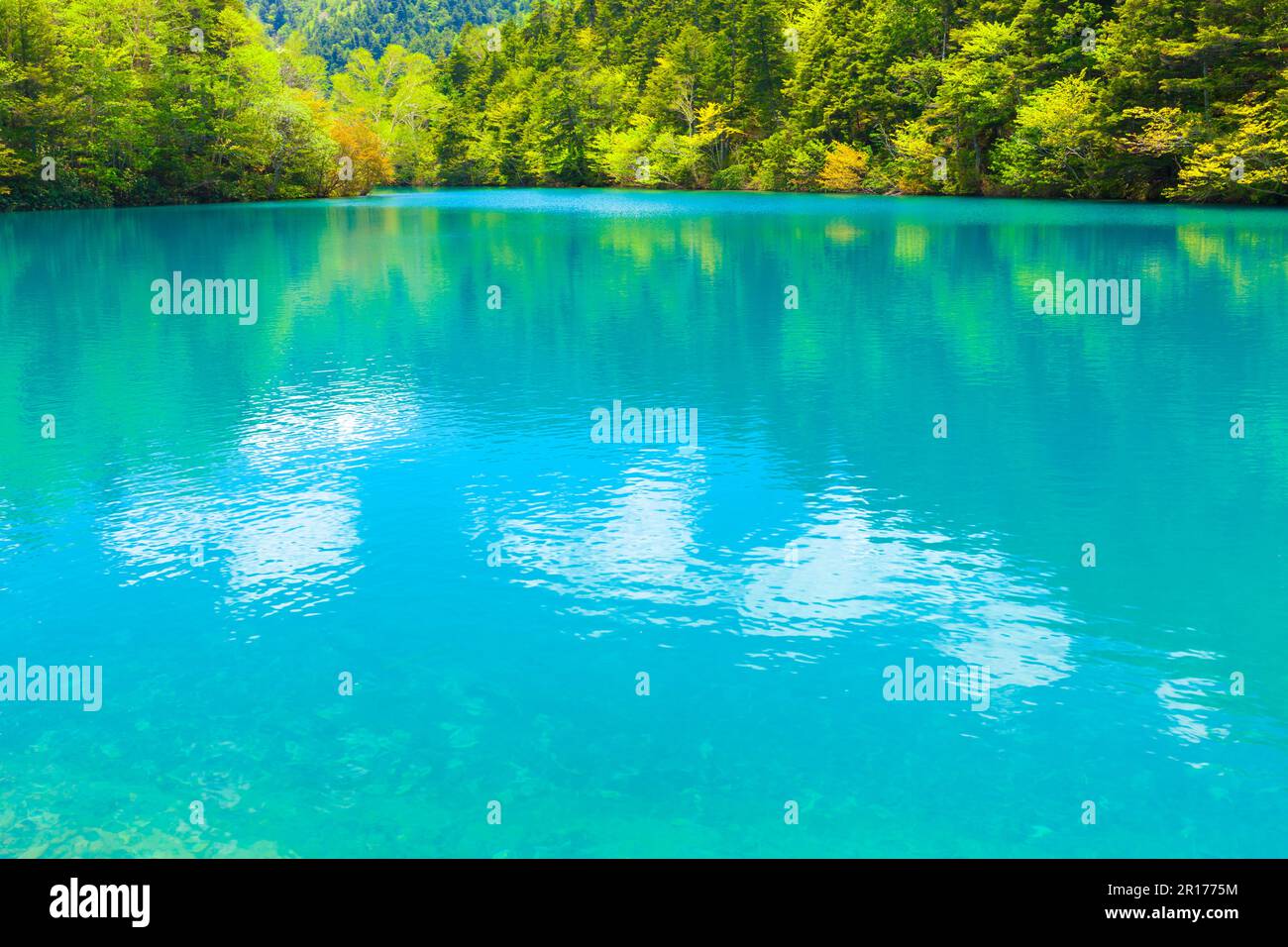 Onuma gun hi-res stock photography and images - Alamy