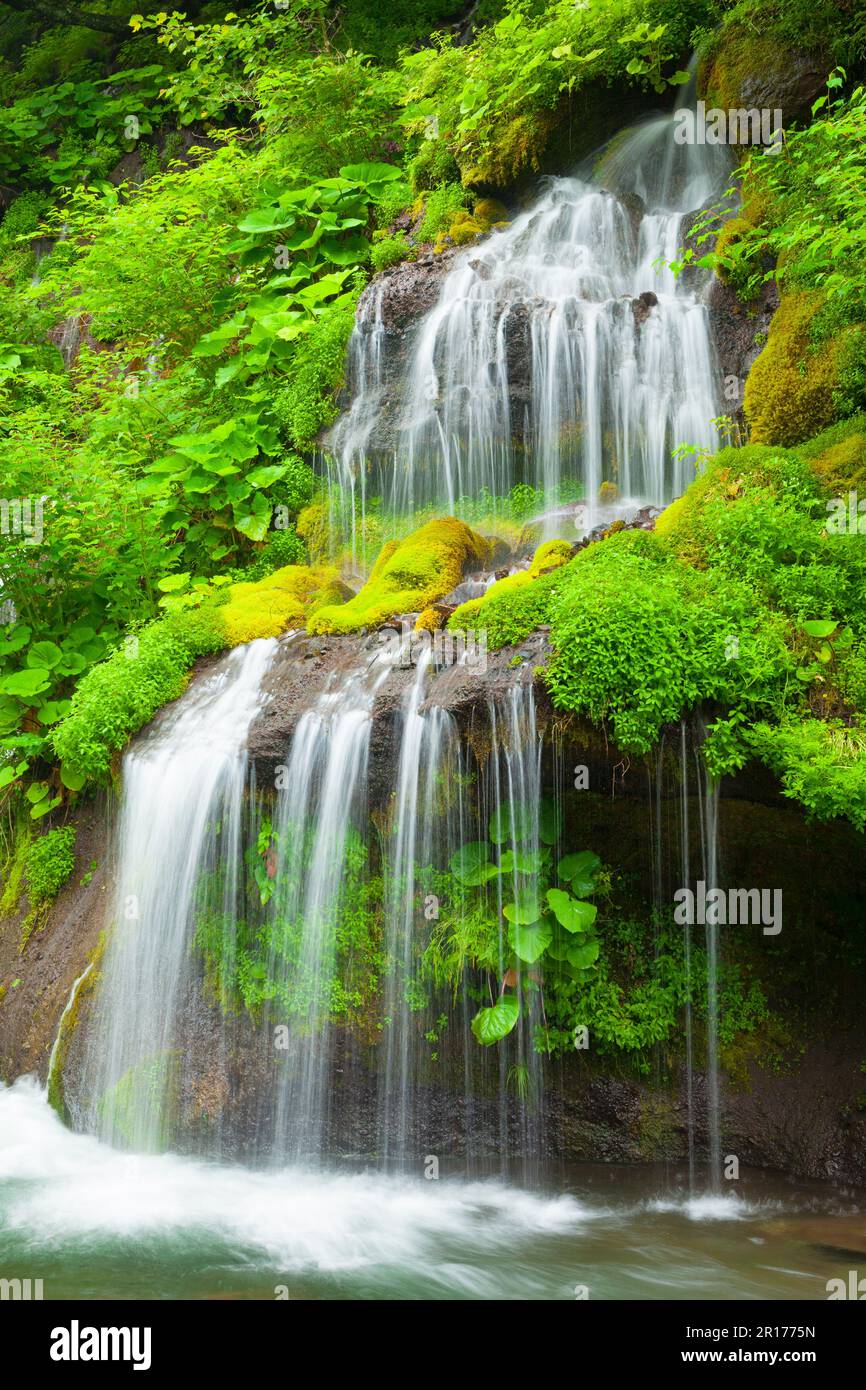 Doryuno waterfall hi-res stock photography and images - Alamy
