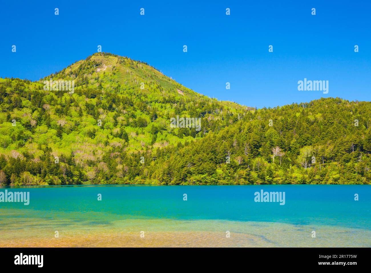 Onuma pond and behind Shiga mountain Stock Photo - Alamy