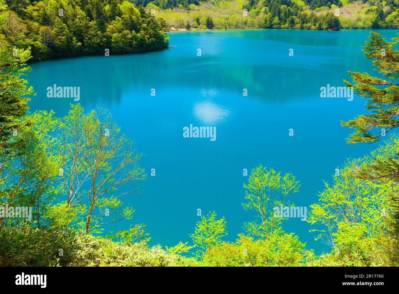 Onuma gun hi-res stock photography and images - Alamy