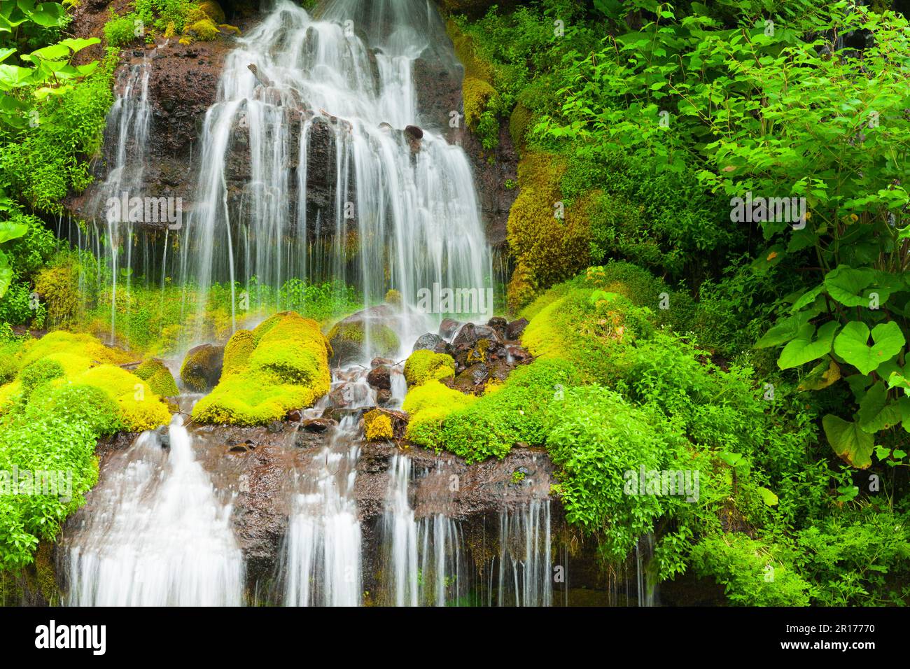 Doryuno waterfall hi-res stock photography and images - Alamy