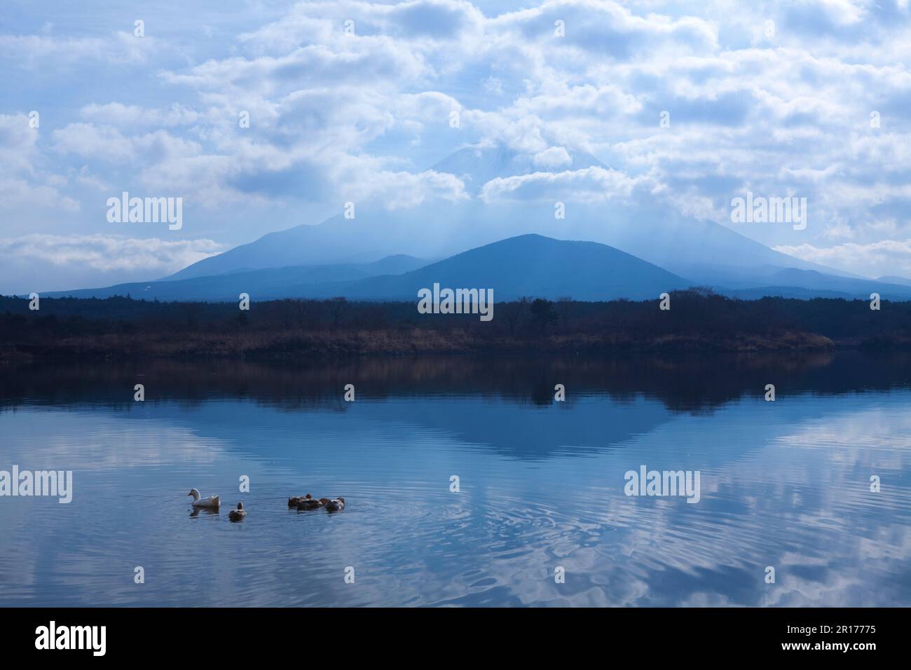 Lake Shoji-Ko and Mt. Fuji Stock Photo - Alamy