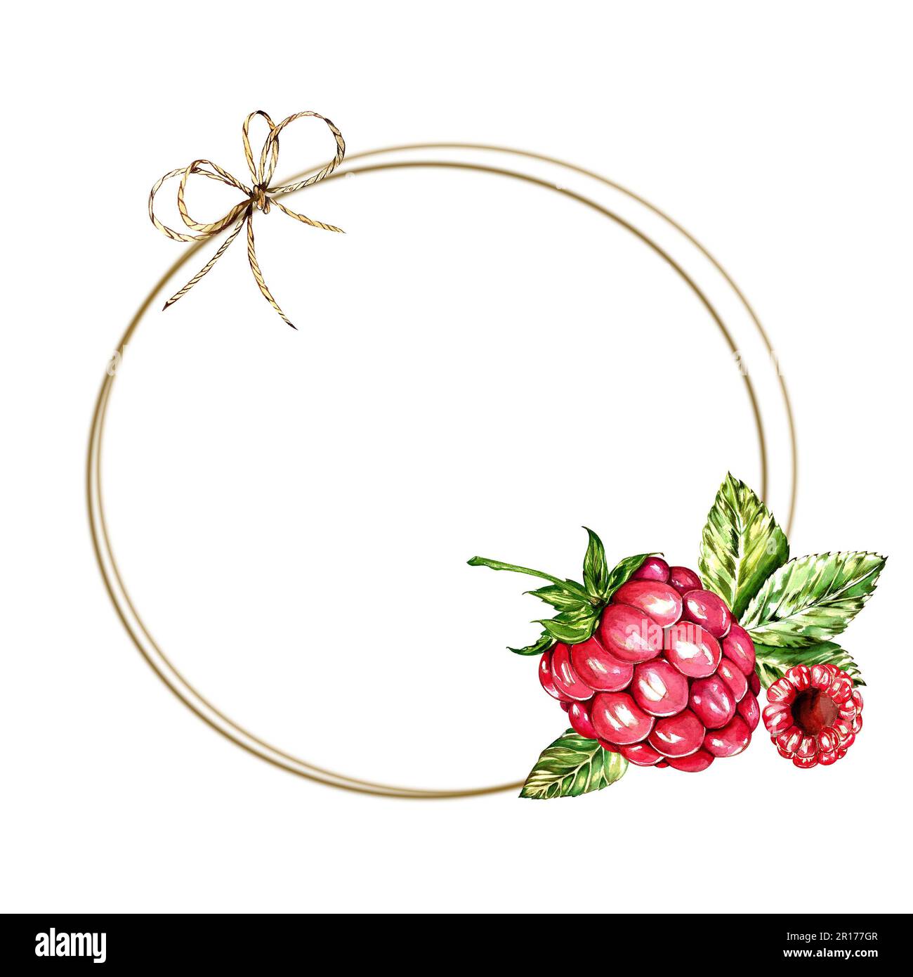 a set of watercolor elements. juicy raspberries with leaves. for ...