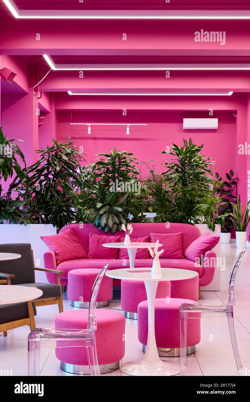 Modern pink interior with lots of plants Stock Photo - Alamy