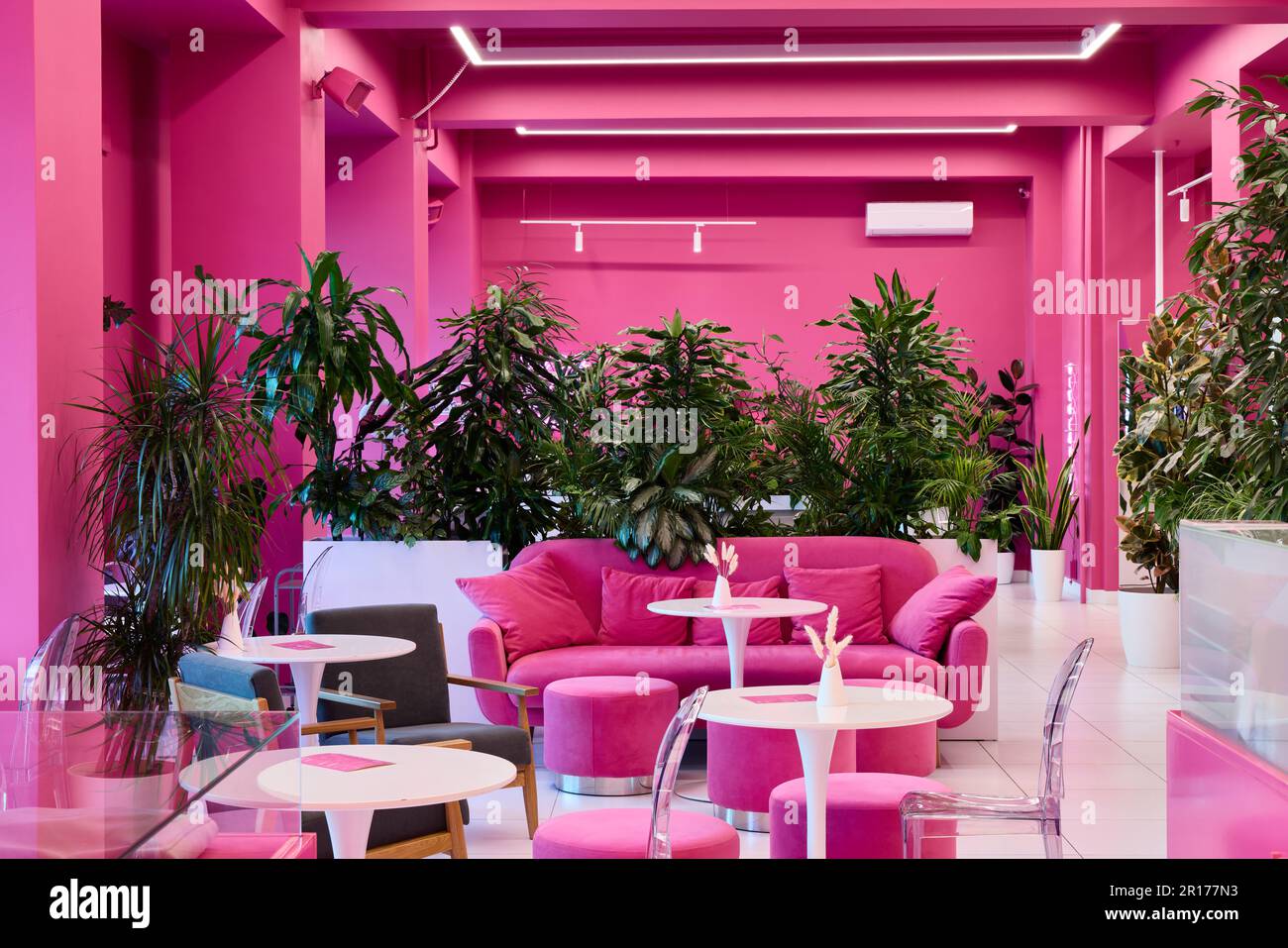 Modern pink interior with lots of plants Stock Photo - Alamy