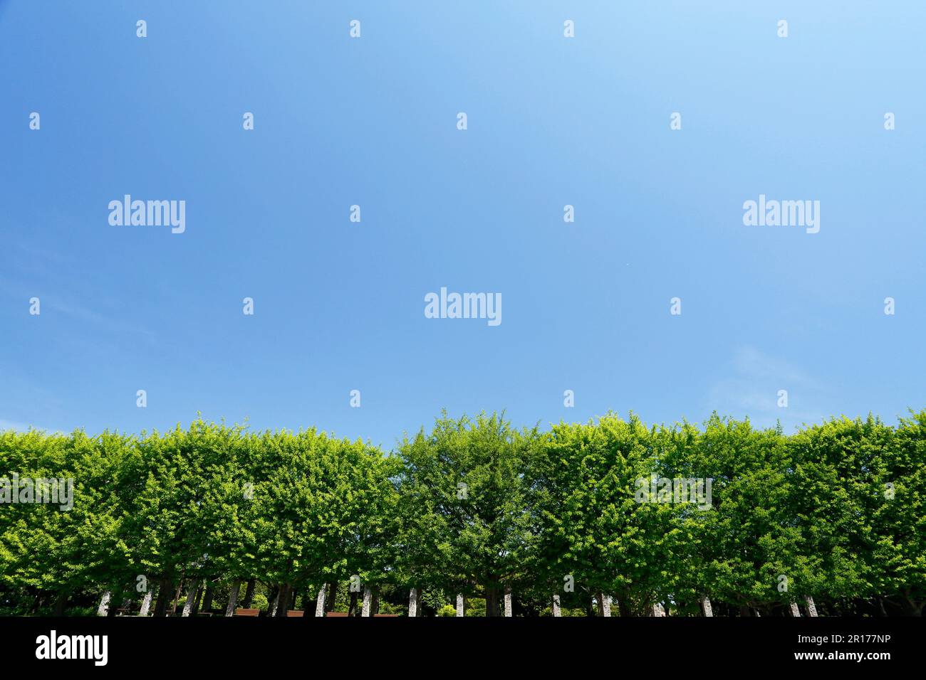 Roadside commemoration hi-res stock photography and images - Alamy