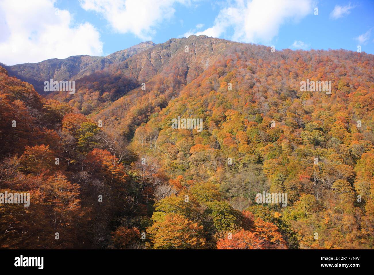 View of Nishikurozawa from Tanigawadake ropeway Stock Photo - Alamy