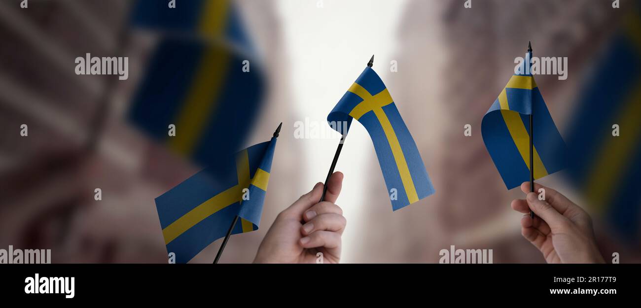 A group of people holding small flags of the Sweden in their hands ...