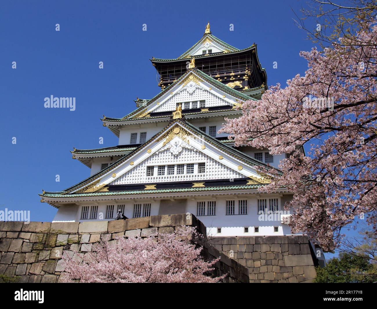 Osaka castle and cherry blossom trees Stock Photo - Alamy