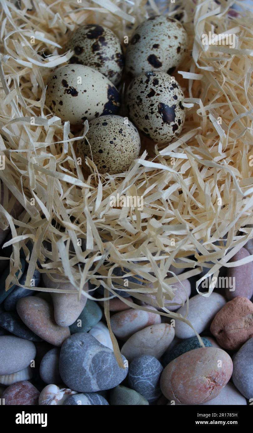 Heritage eggs hi-res stock photography and images - Alamy