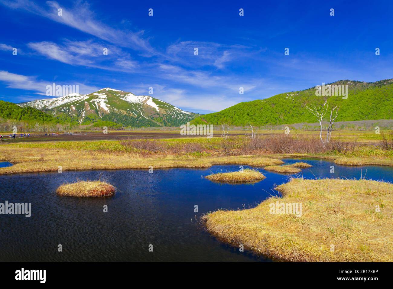 Mt. shibutsu Ozegahara of summer and the snow Stock Photo - Alamy