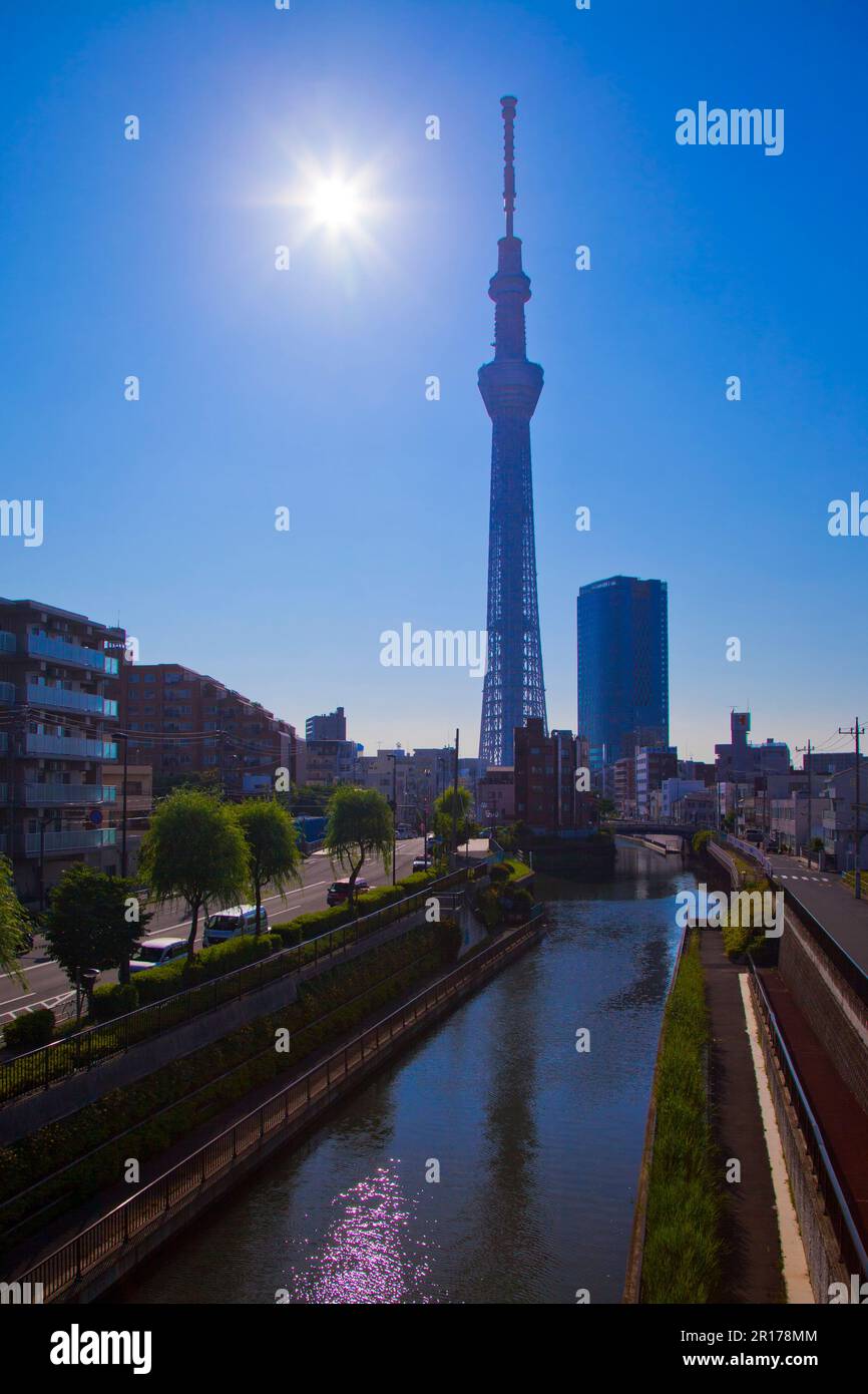 Shining sun and Tokyo sky tree Stock Photo - Alamy