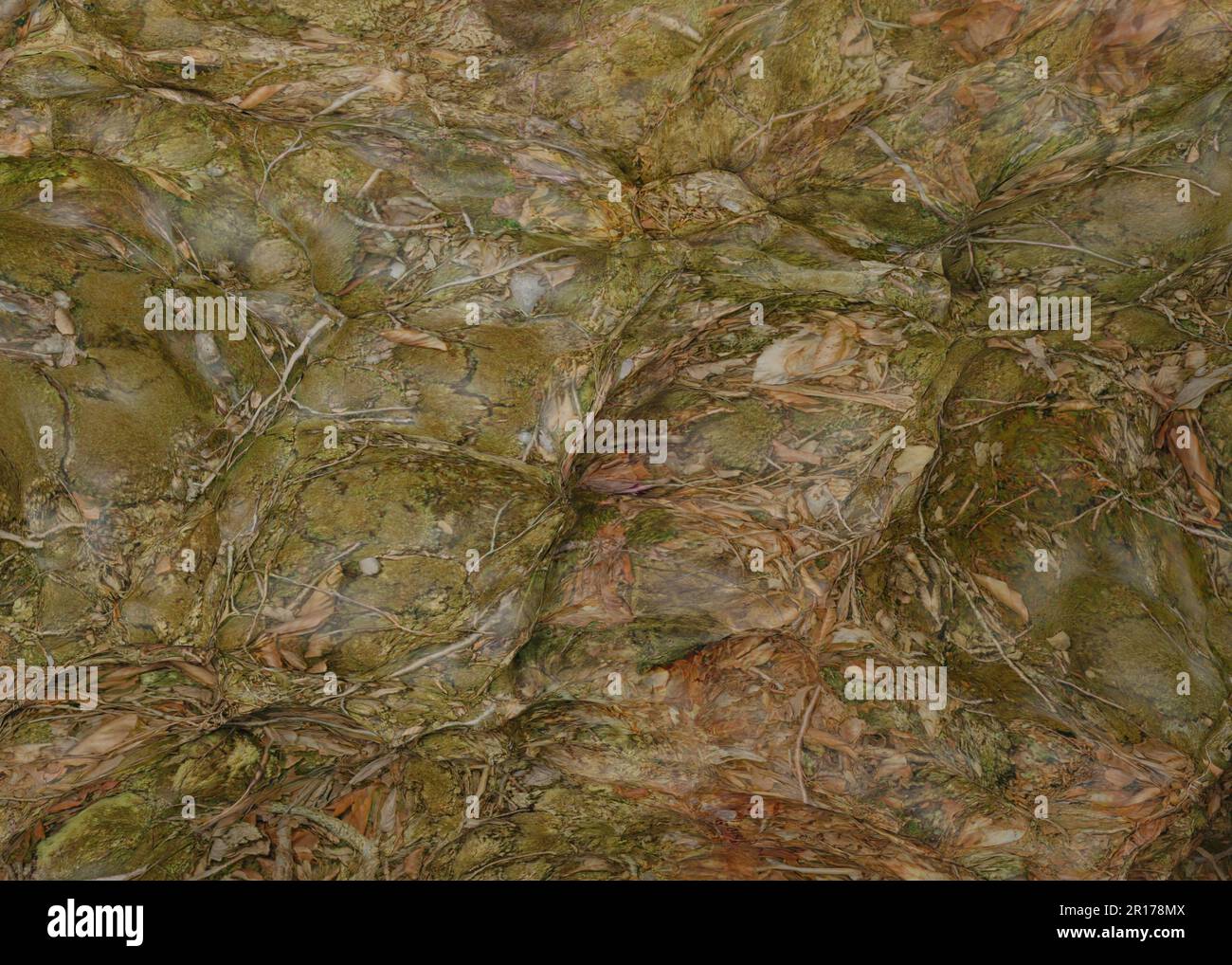 3d wall forest stone texture background Stock Photo - Alamy