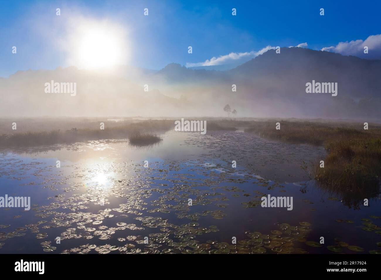Ozegahara pond embankment in the morning Stock Photo - Alamy