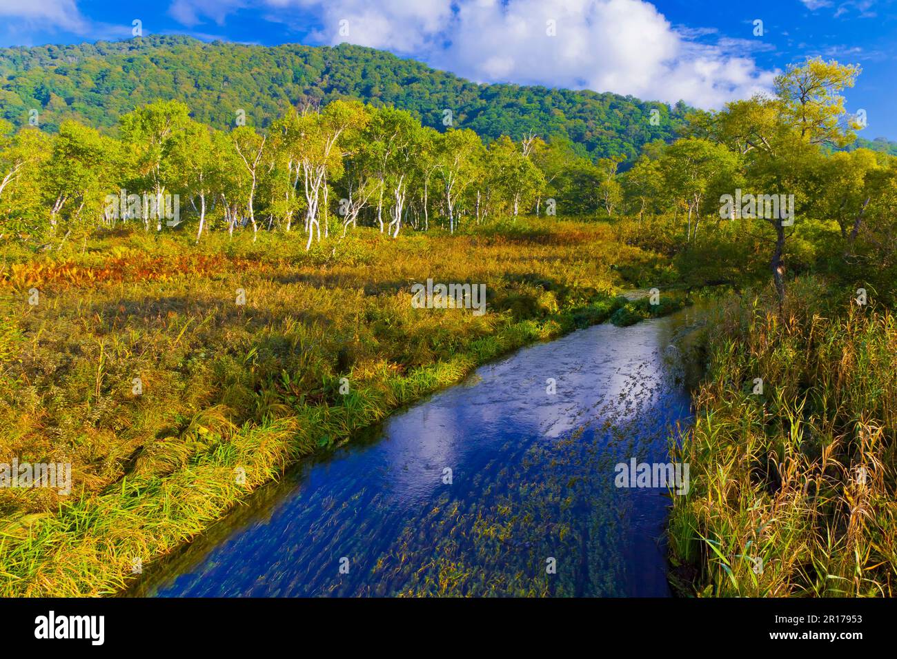 Ueno ohori river hi-res stock photography and images - Alamy