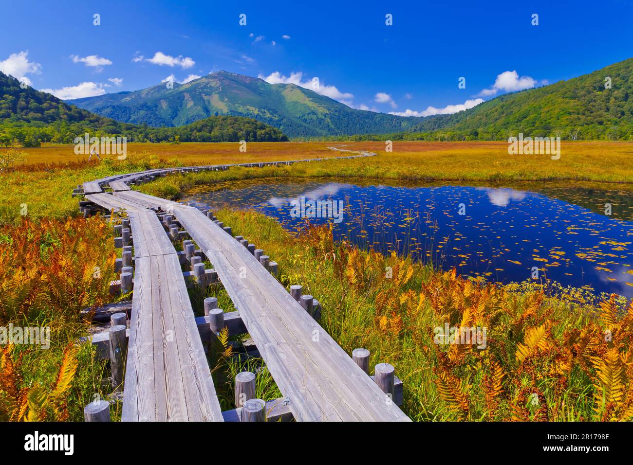Ozegahara autumn-colored grass and Mt. Shibutsu Stock Photo - Alamy