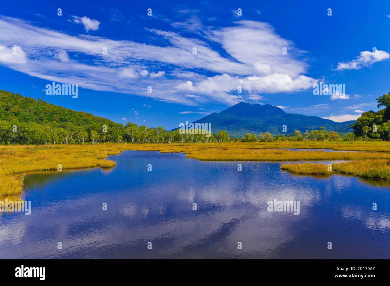 Ozegahara pond embankment and Mt. Hiuchigatake Stock Photo - Alamy