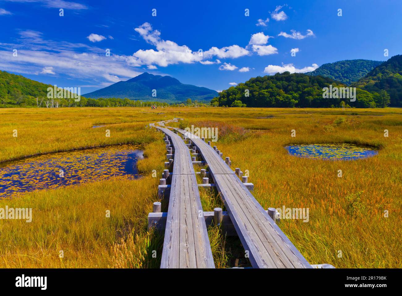 Ozegahara and autumn-colored grasses Stock Photo - Alamy