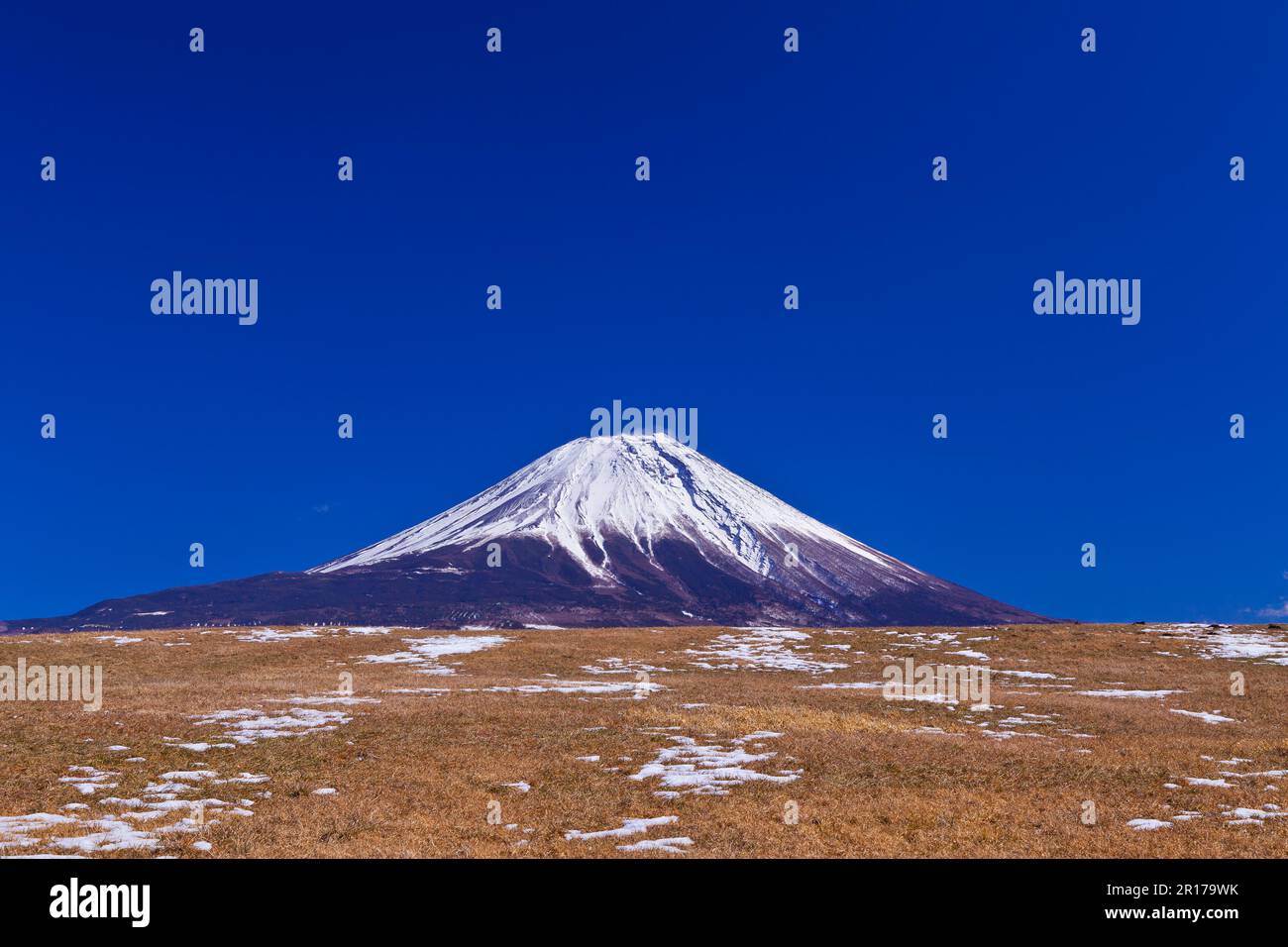 View of Mount Fuji seen from Asagirikogen plateau Stock Photo - Alamy