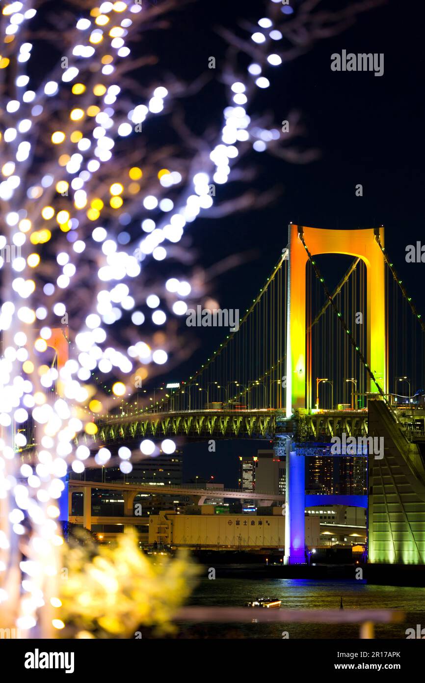 Lit up Rainbow Bridge and illuminations Stock Photo - Alamy