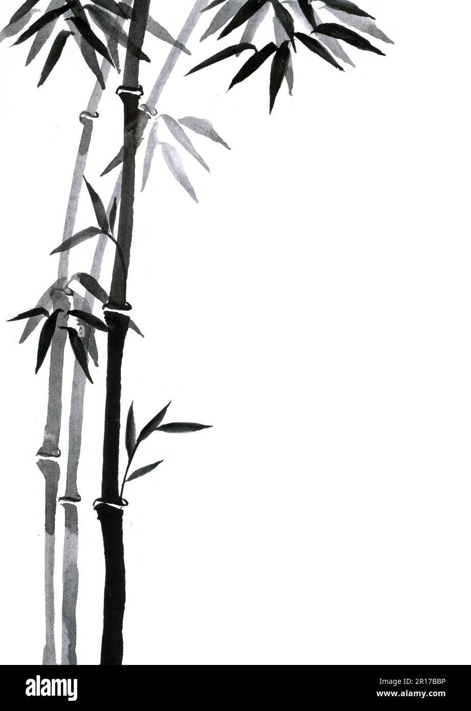 Sumi Bamboo Painting