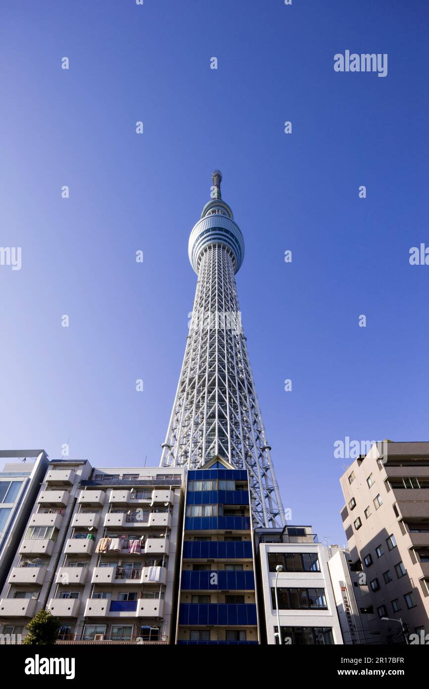 Tokyo sky tree and buildings Stock Photo - Alamy
