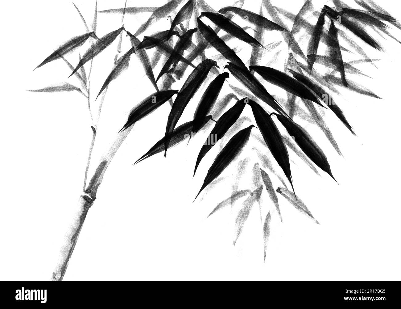 Bamboo tree in Black and White Stock Photos & Images - Alamy