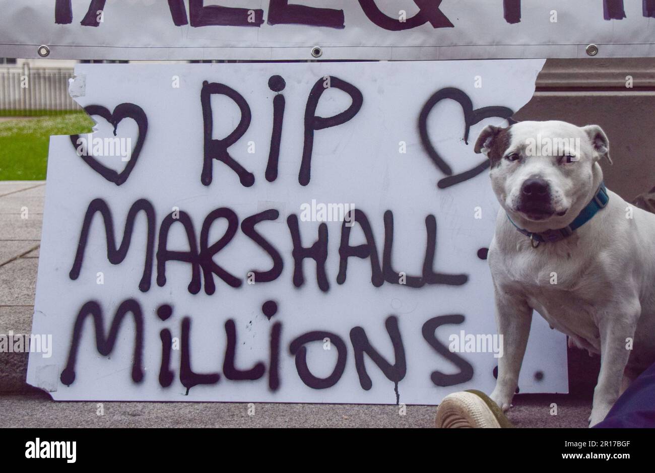London, UK. 11th May 2023. Animal rights group Animal Rising staged a ...