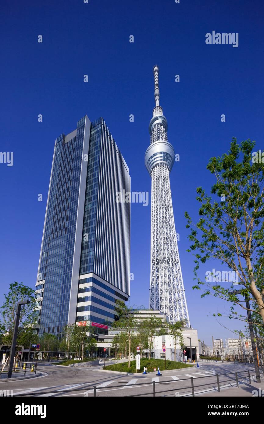 Tokyo SkyTree and Tokyo SkyTree Tower East Stock Photo - Alamy