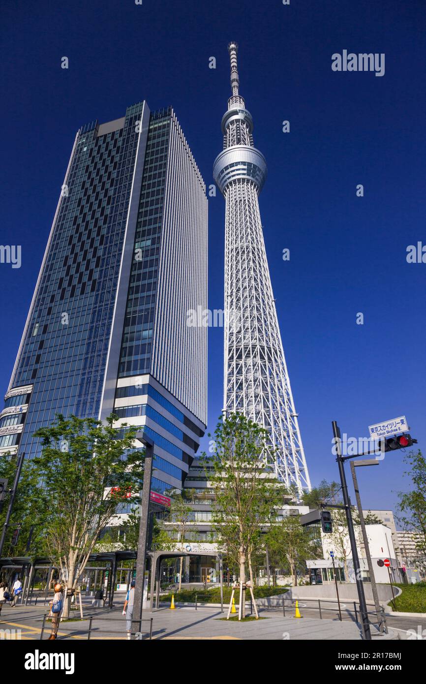 Tokyo SkyTree and Tokyo SkyTree Tower East Stock Photo - Alamy