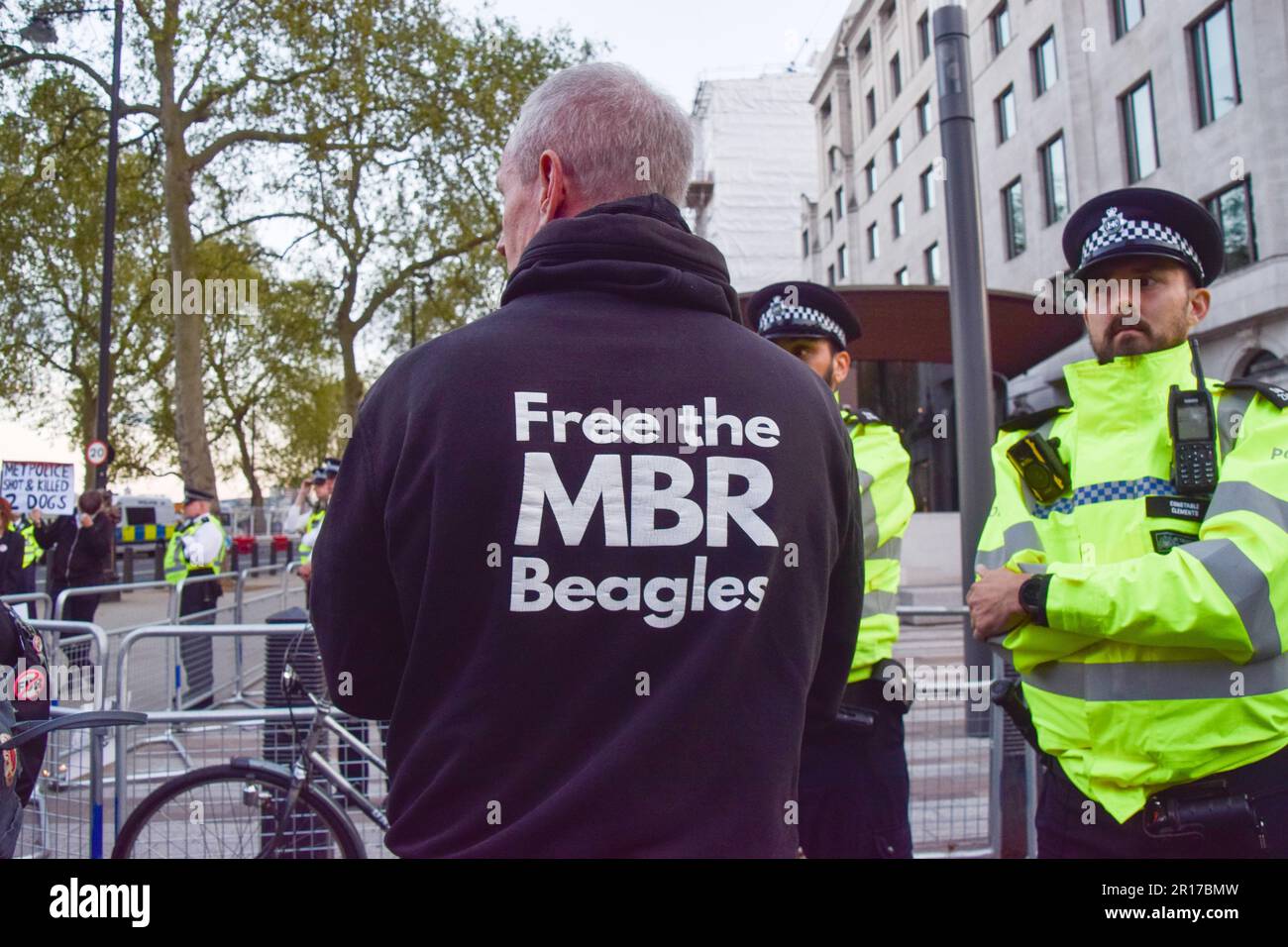 Animal rising banner hi-res stock photography and images - Alamy