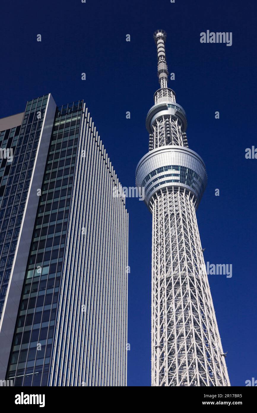 Tokyo SkyTree and Tokyo SkyTree Tower East Stock Photo - Alamy