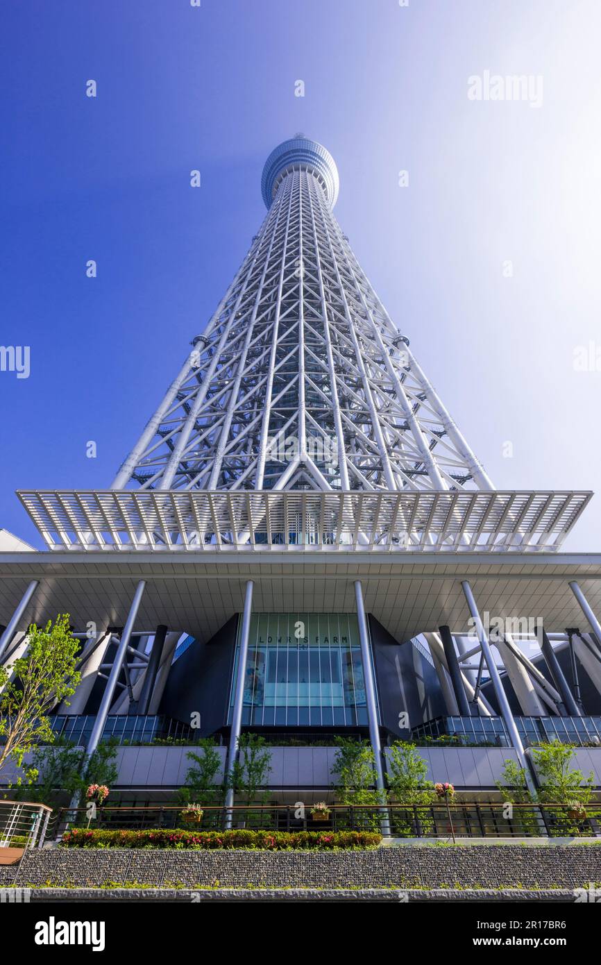 Tokyo Sky Tree Stock Photo - Alamy