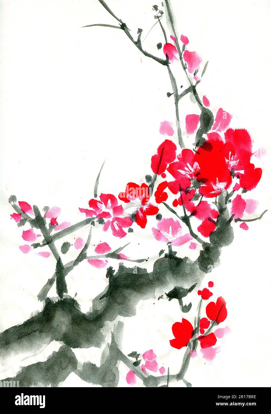 Chinese Cherry Blossom Tree Drawing