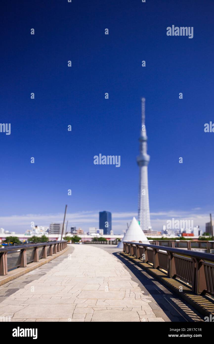 Tokyo Sky Tree and Sakura bridge Stock Photo - Alamy
