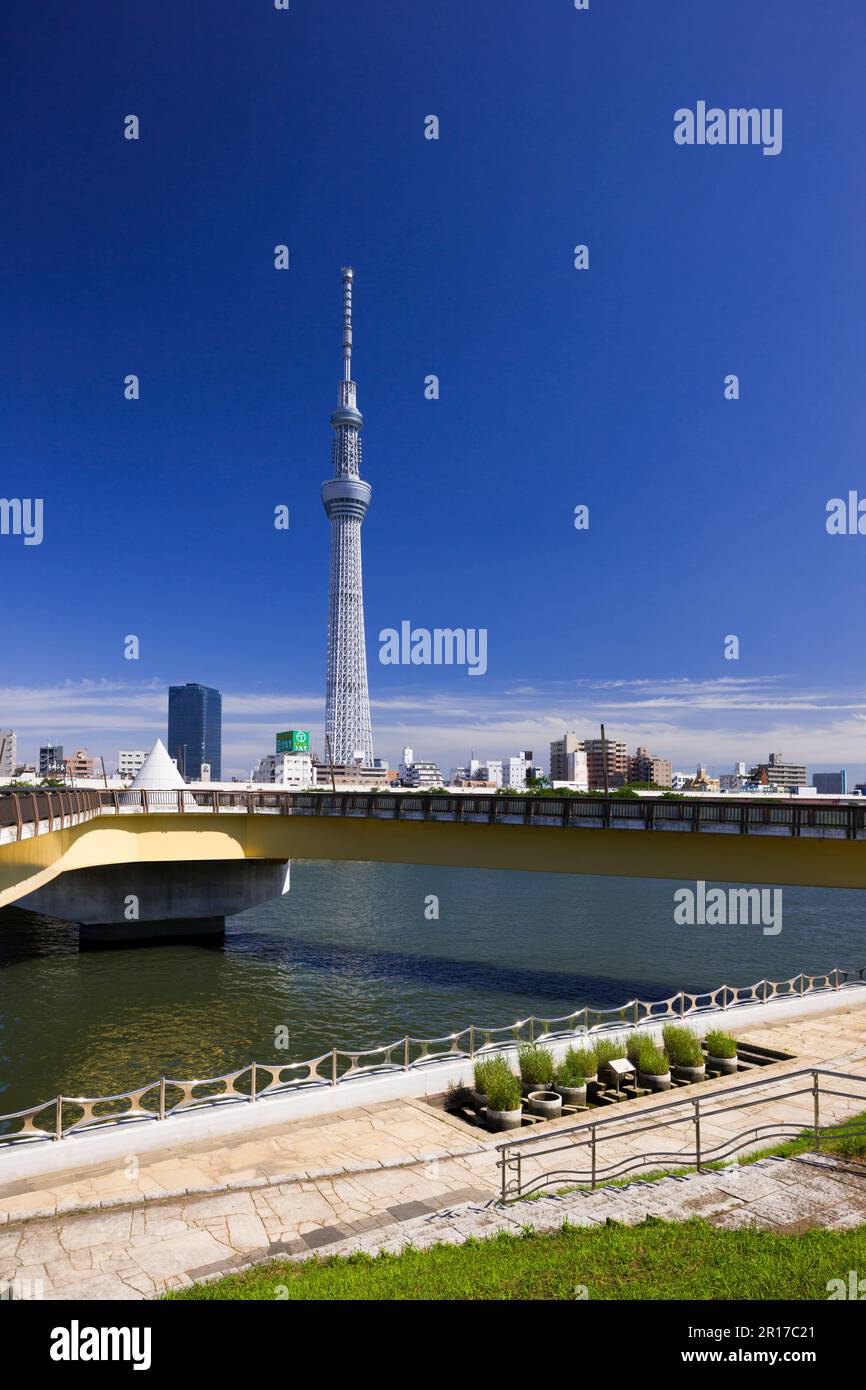 Sakura bridge hi-res stock photography and images - Alamy