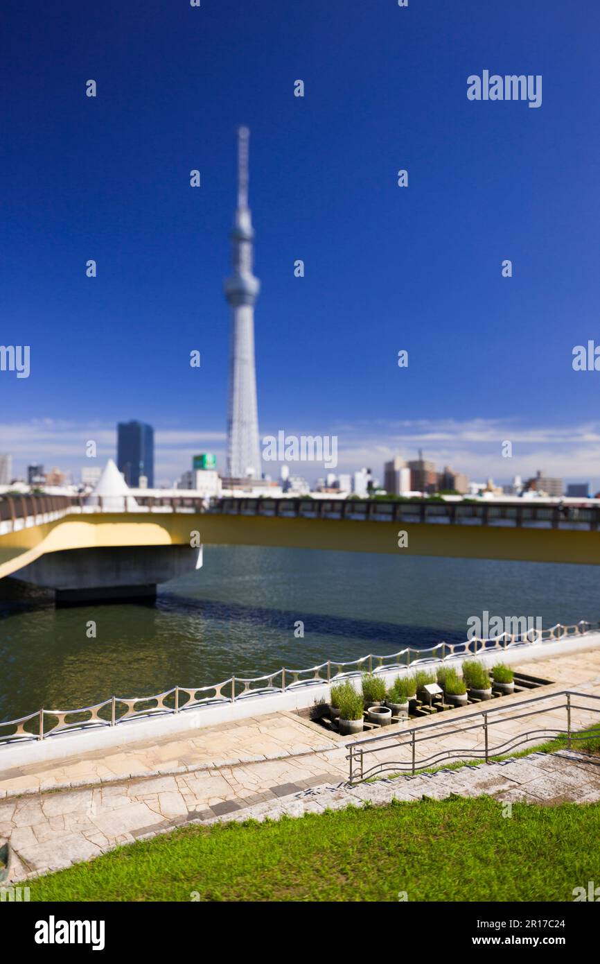 Tokyo Sky Tree and Sakura bridge Stock Photo - Alamy