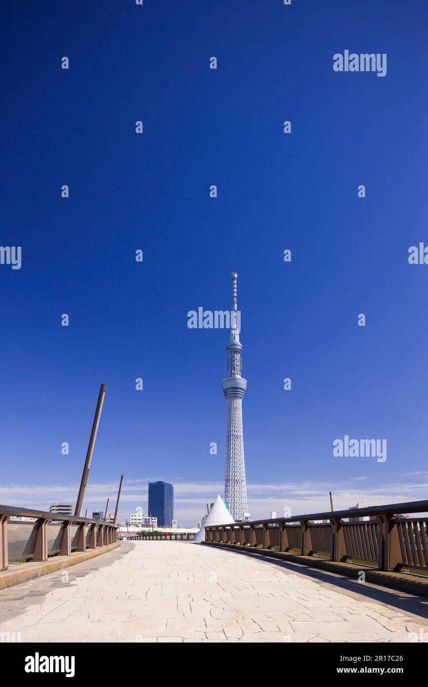 Tokyo Sky Tree and Sakura bridge Stock Photo - Alamy