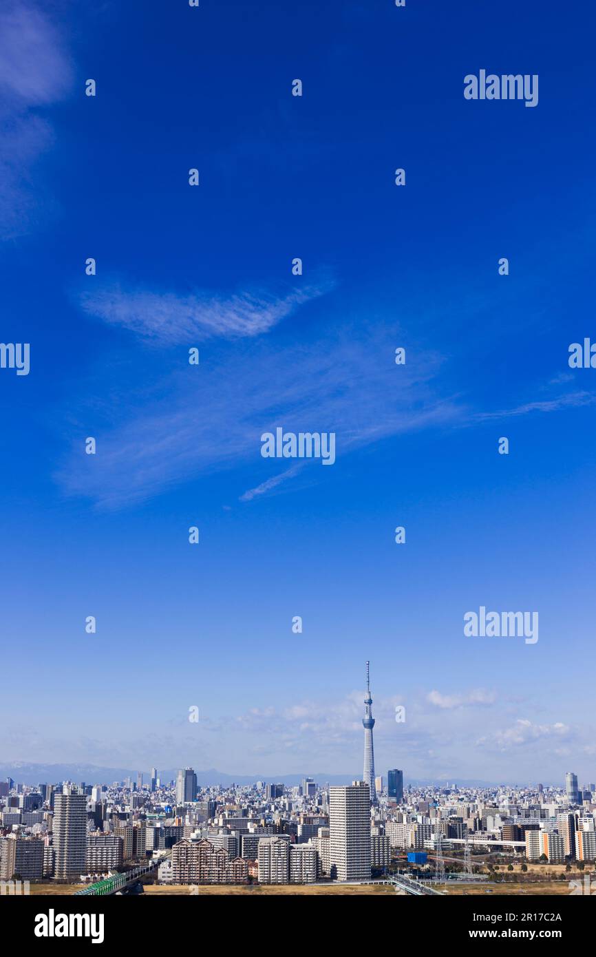 Tokyo Sky Tree area viewed from Funabori Stock Photo - Alamy