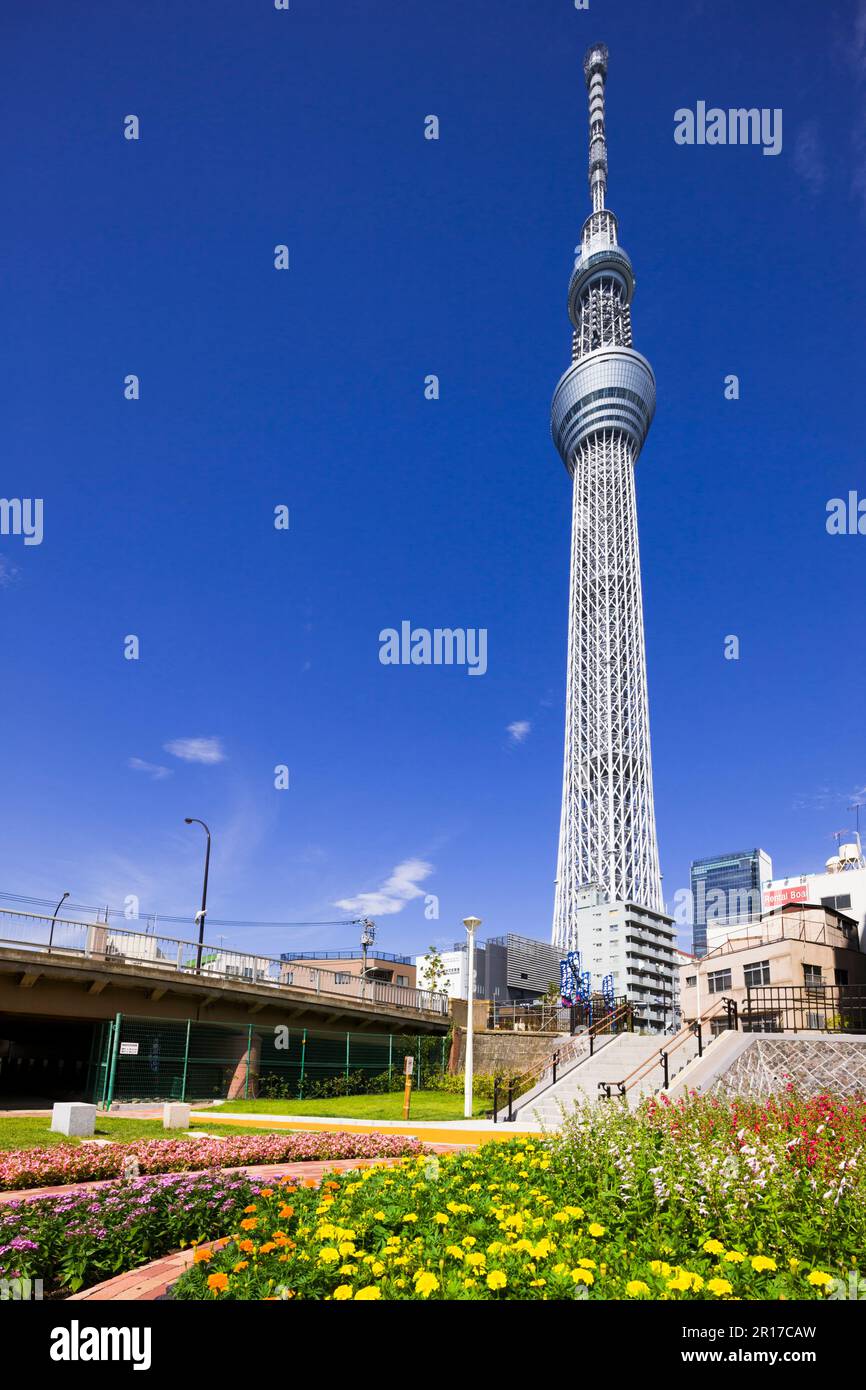 Tokyo flower hi-res stock photography and images - Alamy