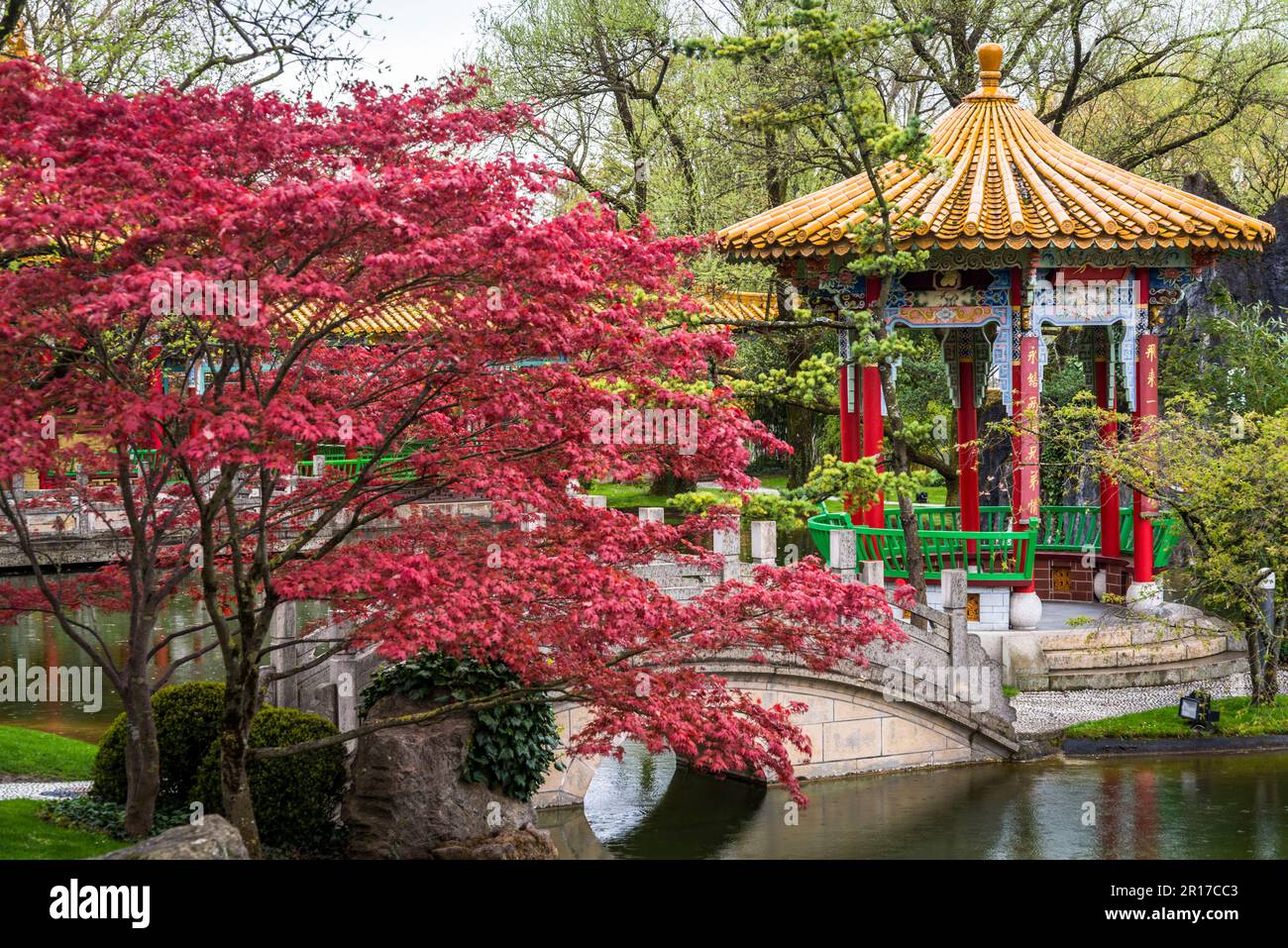 The pond and island pavilion of the Chinese Garden, a garden which was ...